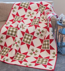 Holiday Wishes Gingham Stars Use Any Seasonal Fabric - Quilting Cubby
